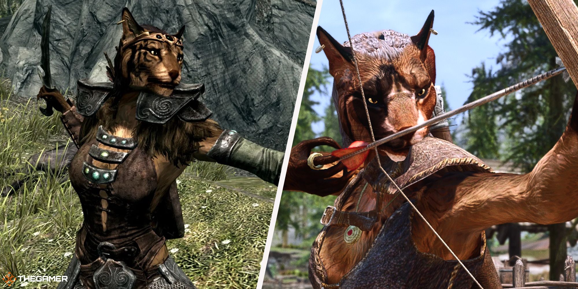 Las Mejores Builds Khajiit En Skyrim 2023 Las Mejores Builds Khajiit En Skyrim 2023